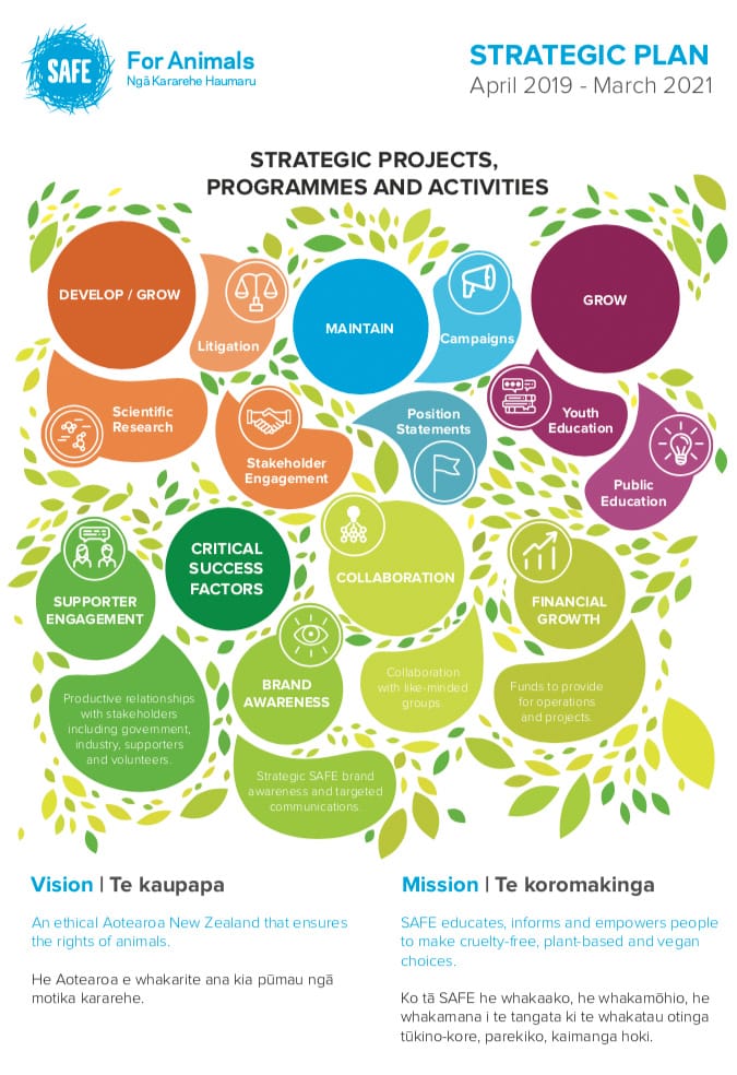 Strategic plan - SAFE | For Animals