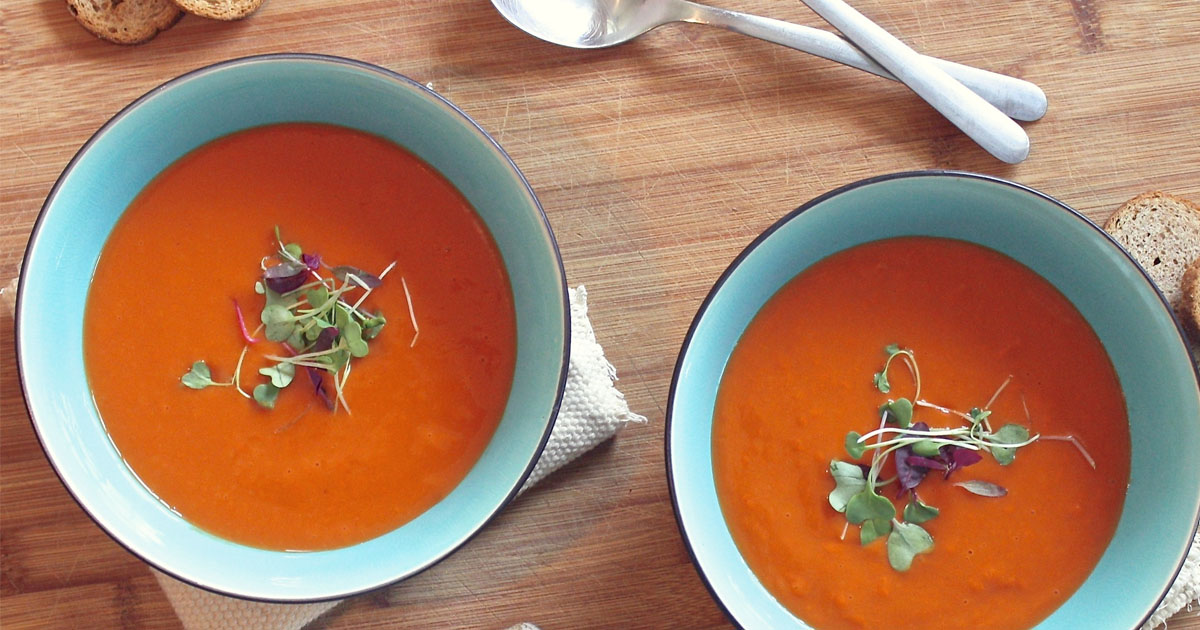 Soups SAFE For Animals soups-safe-for-animals