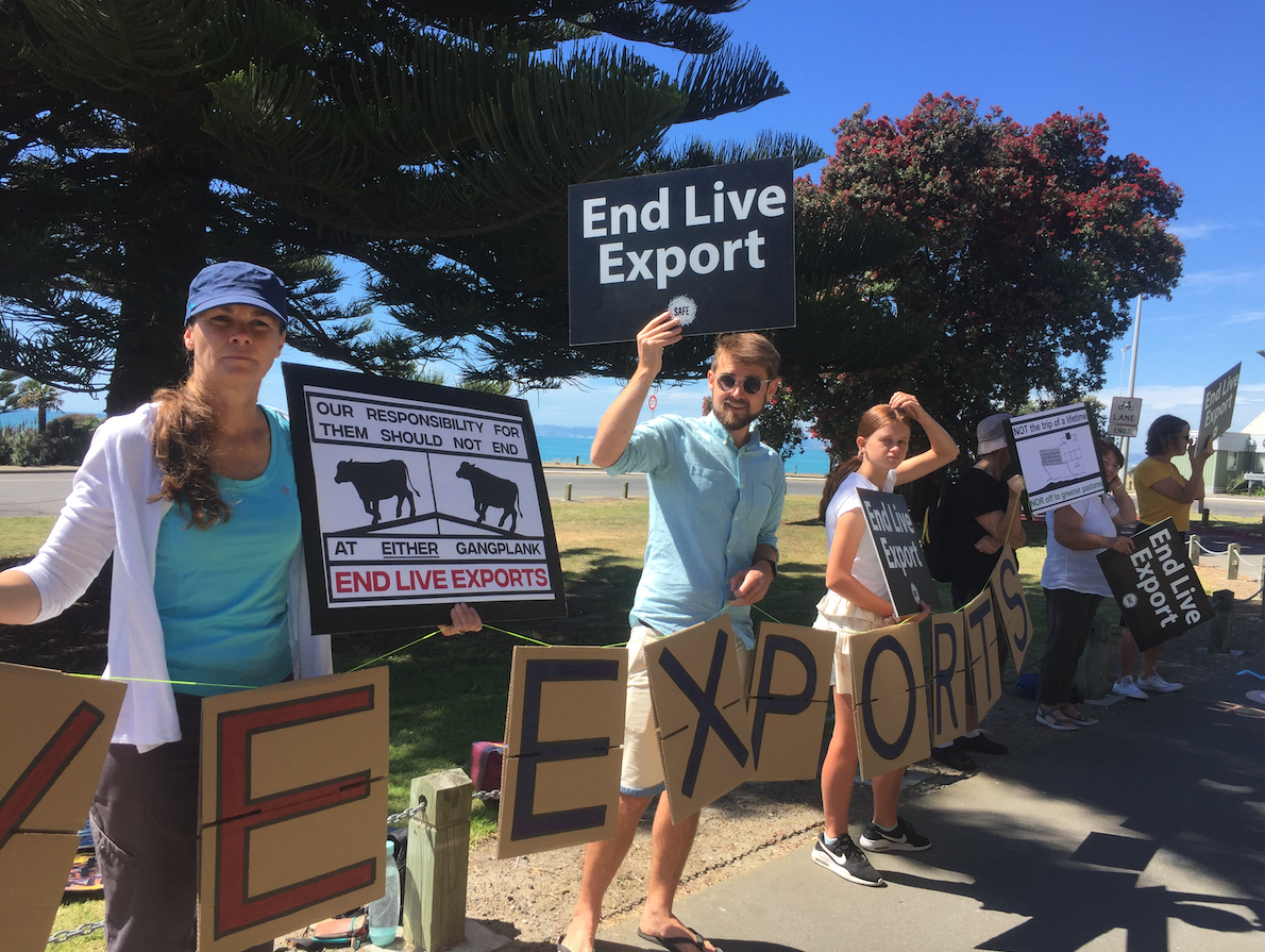 Ten reasons why the ban on live export by sea must be implemented ...