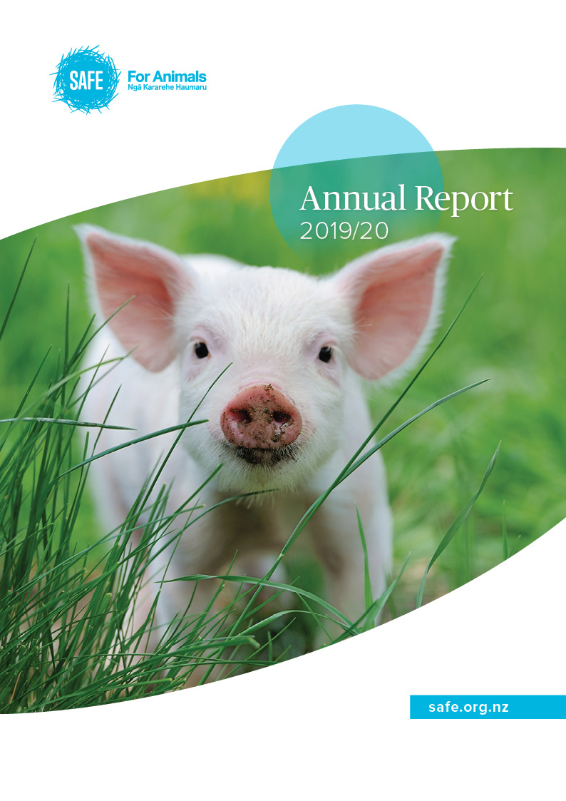 Annual Reports - SAFE | For Animals