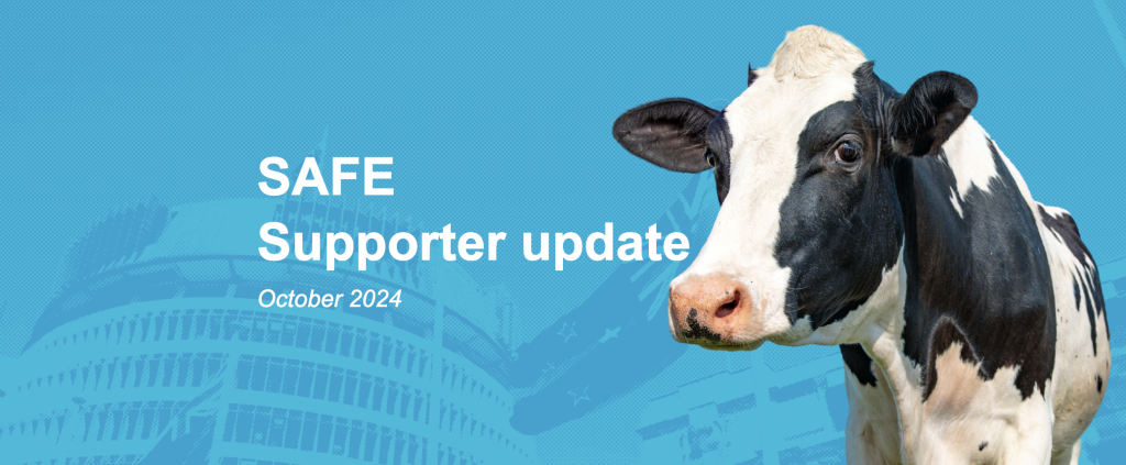 SAFE supporter update October 2024 - SAFE | For Animals